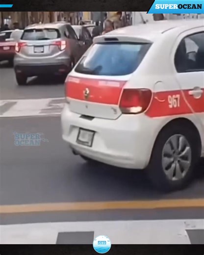 89Most Incredible Moments Caught on Camera | Sarki Auwal