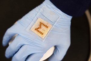 This screen stores and displays encrypted images without electronics