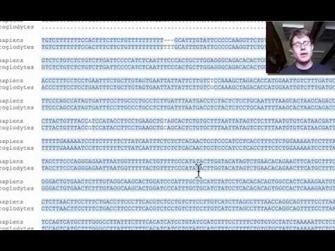 Evidence for Evolution