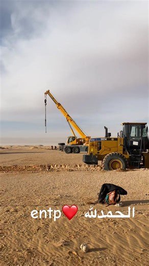 Understanding the ENTP Personality Type