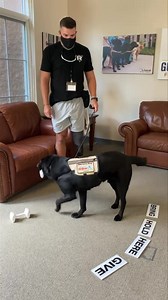 1K views · 80 reactions | The retrieval sequence is one of the first...