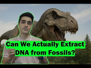 Can We Actually Extract DNA from Fossils? | Jurassic Park Explained