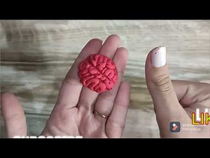 How to make a Brain with clay