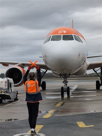 Expert Marshalling Techniques at Airports