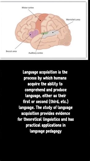TET IMPORTANT BITS(The Language Acquisition Device (LAD)) #competitive‪@Studytime0411‬