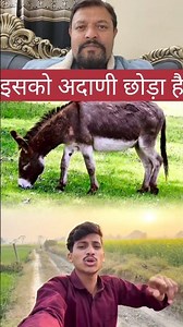 Aadani Ne yeh kya shod diya #modi #adaani #bjp #viralshorts