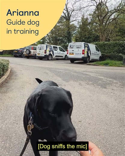 355 reactions | Think your digital content is accessible? Let’s find...