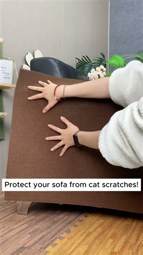 This saved my couch from total destruction! 🛋️