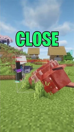 What Is The Minecraft Smallest Hitbox?!