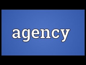 Agency Meaning
