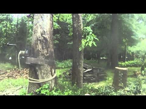 Rigging Whole Tree with the GRCS: TreeStuff.com Tech Tips