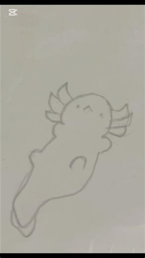 “Amazing Axolotl Drawing Tutorial | Step-by-Step Art Process”