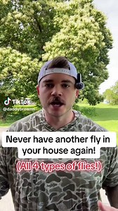 Effective Remedies for Different Types of Flies