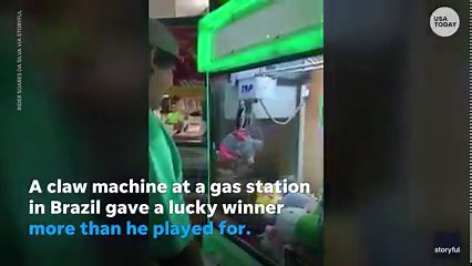 19K views | This is much cooler than a stuffed animal prize from a claw machine. | USA TODAY Video | Facebook