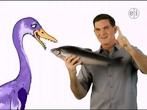 PBS Kids Program Break (2013 MPT)