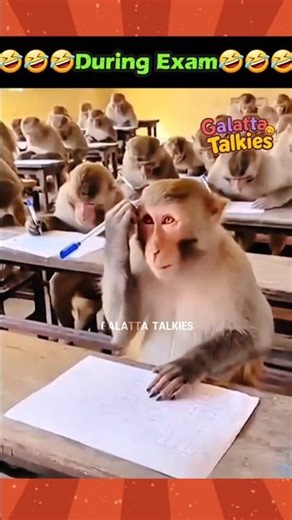 EXAM da!!! 🤣🤣🤣😁😁 #shortsfeed #animalvoiceover #animallovr #animaldub #galattatalkies