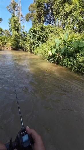 Strike tenggiri pakai popper 🐊💨 #lekcurut #setup2lancarrr #fishing | Alif Fitry