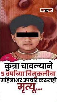 Diva:पिसाळलेल्या कुत्र्याच्या चाव्याने ५ वर्षांच्या चिमुरडीचा मृत्यू, उपचारांतील निष्काळजीपणाचा आरोप