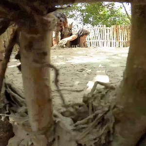 26 reactions | Building The Most Little Swimming Pool on Underground Tunnel | Jungle Survival star | Facebook