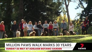 10K views · 66 reactions | The Adelaide Botanic Garden has been overrun with canines testing out the trail for the Million Paws Walk. 7NEWS Adelaide at 6pm | www.7NEWS.com.au #7NEWS | 7NEWS Adelaide | Facebook