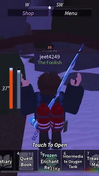 This is how to get the winter cloak