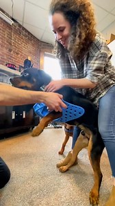 Nothing can stop him now... 🙊 | Furry Tails