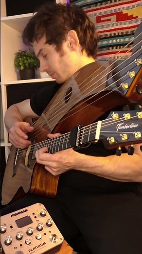 Using the Fishman Platinum Pro Preamp. Double guitar /harp. #guitar #originalmusic #acousticguitar