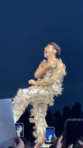 Makeup Ideas for Harry Styles Concert Fans