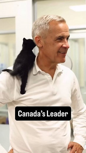 It’s not a competition but ya Canada wins . Follow @nowthatscanadian for more #canada | Now That’s Canadian