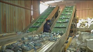 California cracking down on plastic pollution through landmark legislation