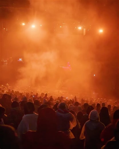 1.7K views · 88 reactions | Dr. Fresch on Reels | Facebook