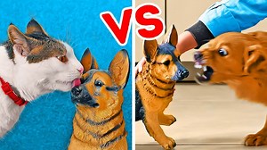 23K views | GATOS vs. CÃES || Truques e Brincadeiras Engraçadas com Animais de Estimação: | Receitas Incríveis | Facebook