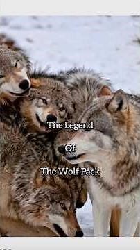 The Legend of the Wolf Pack 🐺 | Strength, Loyalty & Survival