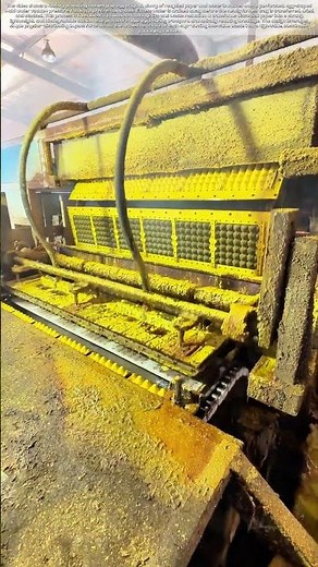 Forming the Cradle: How Pulp Becomes an Egg's Protector