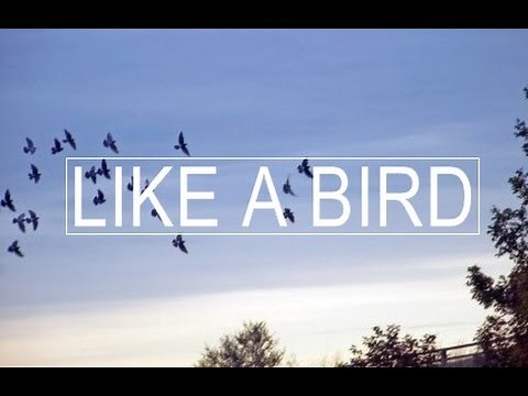 River Rhyme : Like A Bird [Official Music Video]