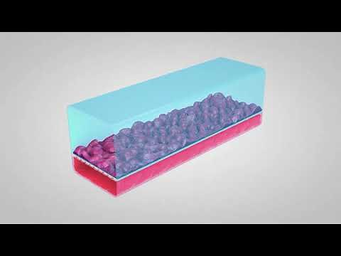 Duodenum Intestine-Chip: An Improved Model of the Human Duodenum