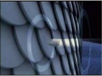 Revolutionary Body Armor Made  from Advanced Ceramic Titanium Discs - Dragon Skin