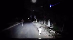 261K views · 4.7K reactions | Lúc 1 giờ rạng ngày 18-5, tài xế Nguyễn...