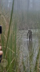 148K views · 5.2K reactions | En la niebla espesa del humedal de...