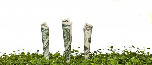 Living on $2 a Day: How Microfinance Breaks the Cycle of Poverty