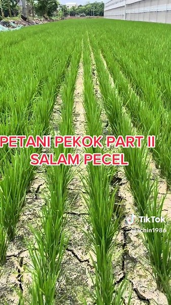 The Ultimate Guide to Improving Your Photography Skills