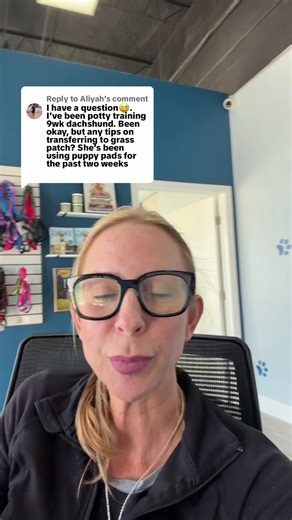 Effective Dog Training Tips for New Puppy Owners