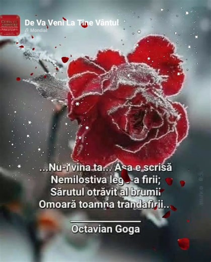 🥀__✍OCTAVIAN GOGA De va veni la tine vântul , Purtând povestea mea amară Jelitul lui să nu te-nfrângă, Mustrarea lui să nu te doară . Nu-i vina ta ...Așa e scrisă Nemilostiva lege-a firii. Sărutul otrăvit al brumii Omoară toamna trandafirii... Şi cine s-ar opri să plângă O frunză veștedă-n cărare. Când codrii freamătă alături Și râd în răsărit de soare ?... Octavian Goga | Elisabeta Sandu