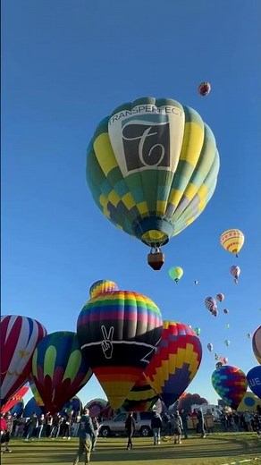 TransPerfect: Proud Sponsors of Albuquerque Balloon Fiesta