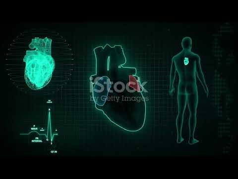 Structur of heart ❤️ ❤️#animation