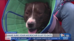 Mutt Mondays: Make sure you microchip is up to date
