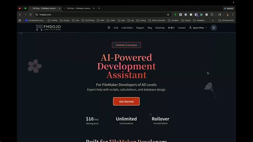 FM dojo Introduction