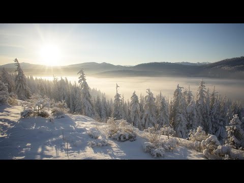 The Short Report - Suncadia | Tumble Creek