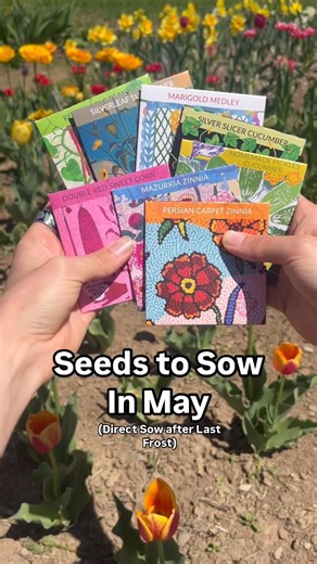 Seeds to Sow in May✨ Direct Sow After Last Frost: -Cucumbers -Summer Squash -Melon -Beans -Corn -Zinnias -Nasturtium -Marigolds -Sunflowers -Winter Squash & Pumpkins #garden #gardening #seeds #spring #may #growingyourownfood #flowers | Hudson Valley Seed Co.