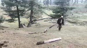 3.2K views · 36 reactions | Forest Department Shopian carried Large...
